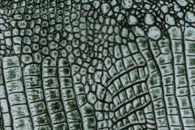 Pattern Options - Classy Gauges